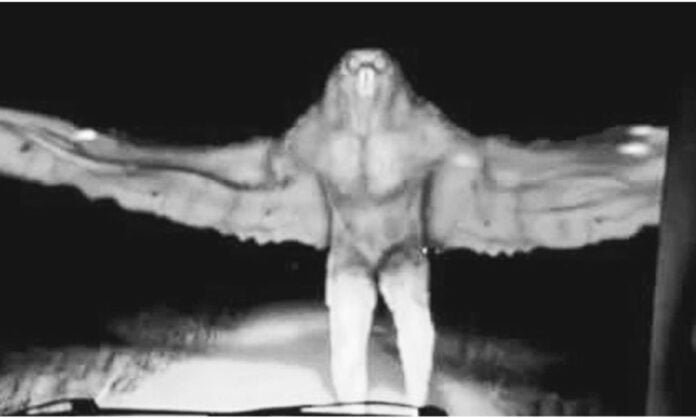 El hombre pájaro de Monterrey, ¿mito o realidad? - Soy de Monterrey